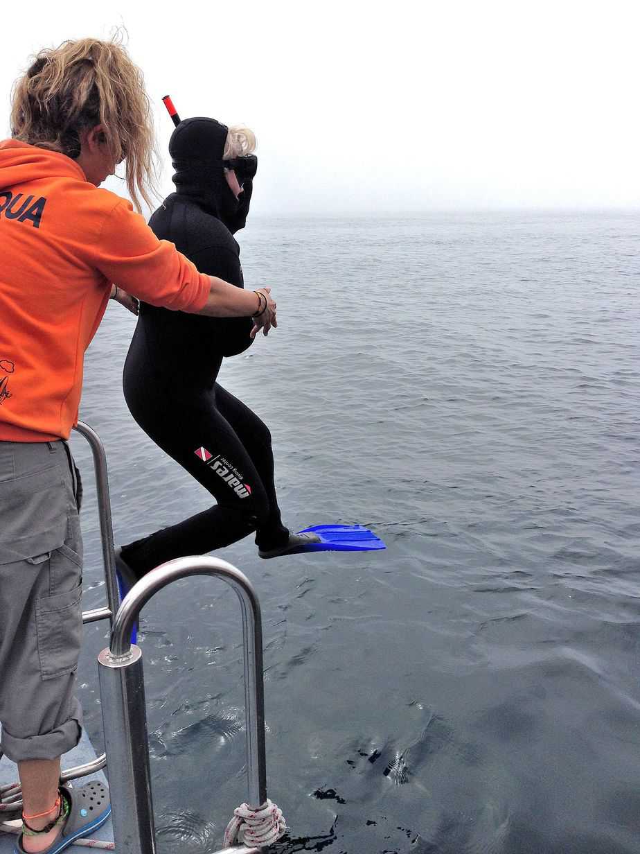 Snorkel Medes Islands? Why You Should Try This Chilly Experience!