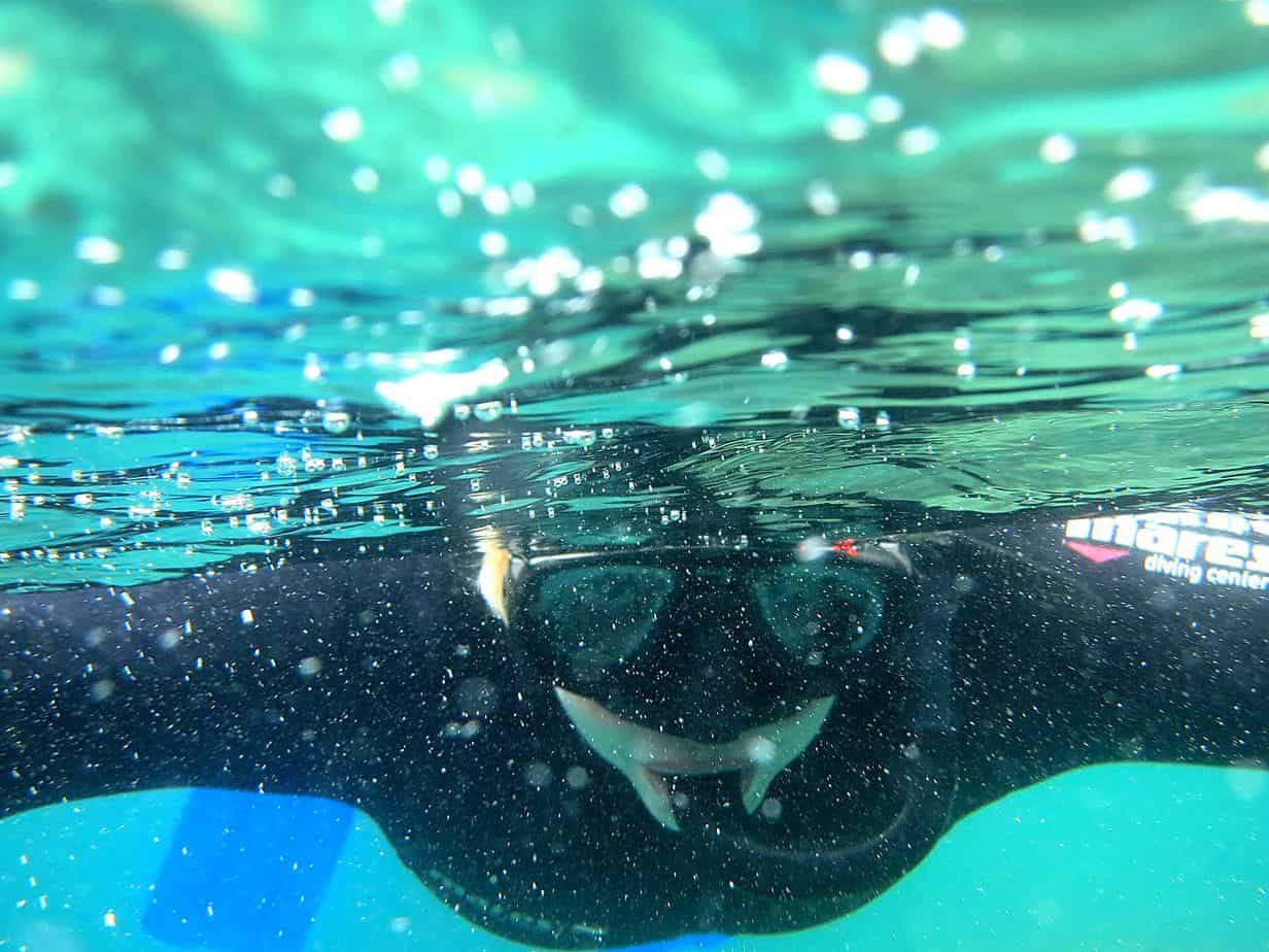 Snorkel Medes Islands? Why You Should Try This Chilly Experience!