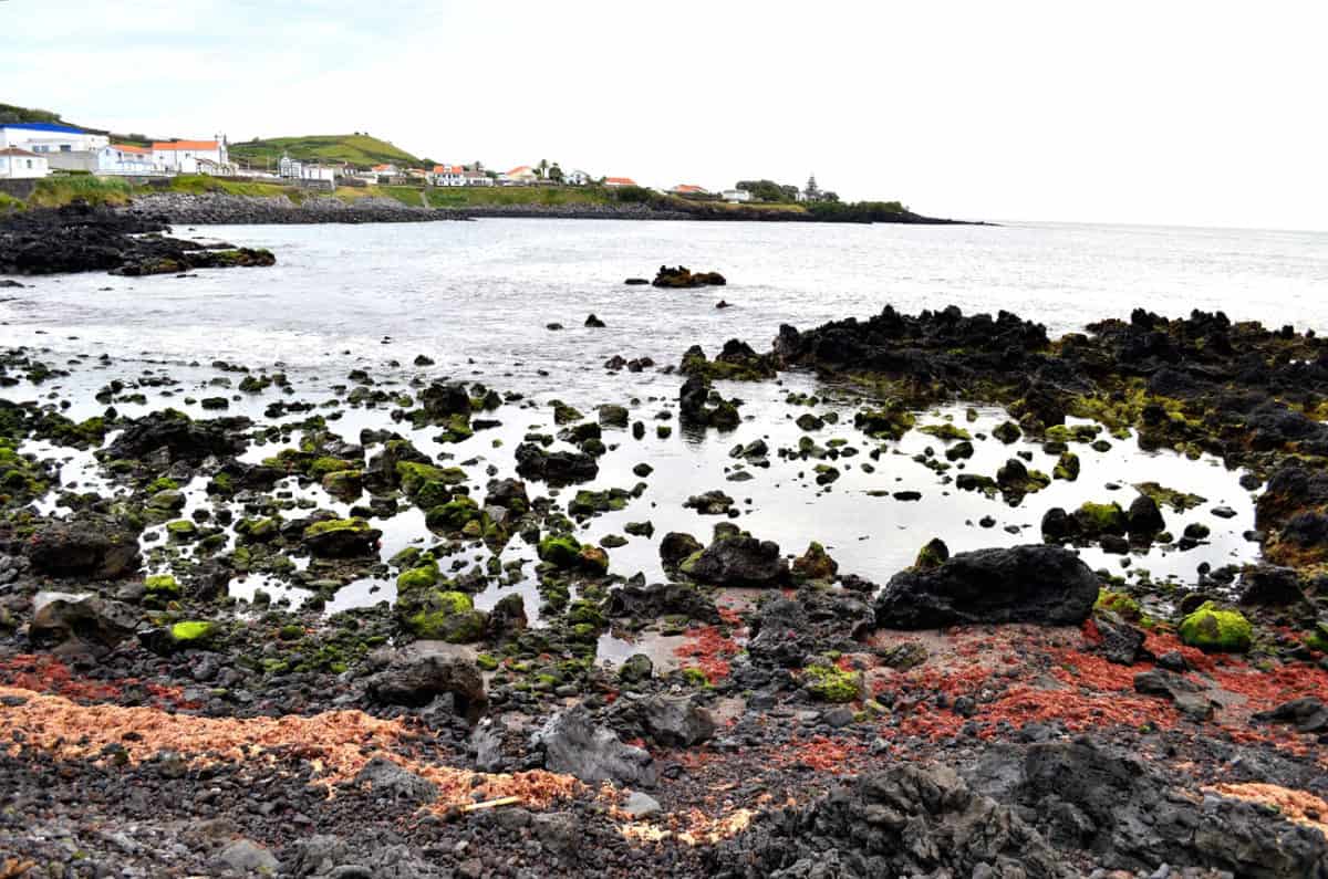 Things to Do in Terceira | The Amazing Azores | Luggage and Lipstick