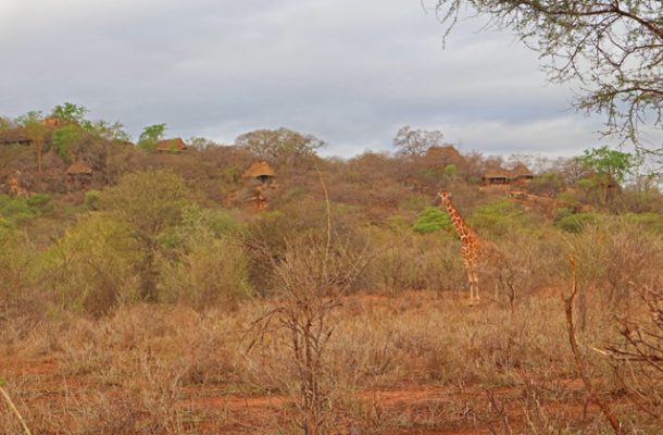 Meru National Park: Elsa’s Kopje, Kenya - Luggage and Lipstick