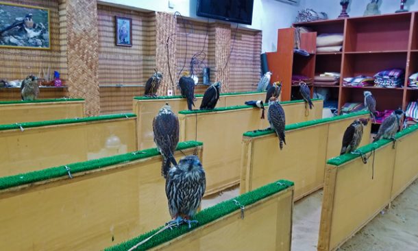 Doha City Tour: 10 Best Things to Do in Doha, Qatar