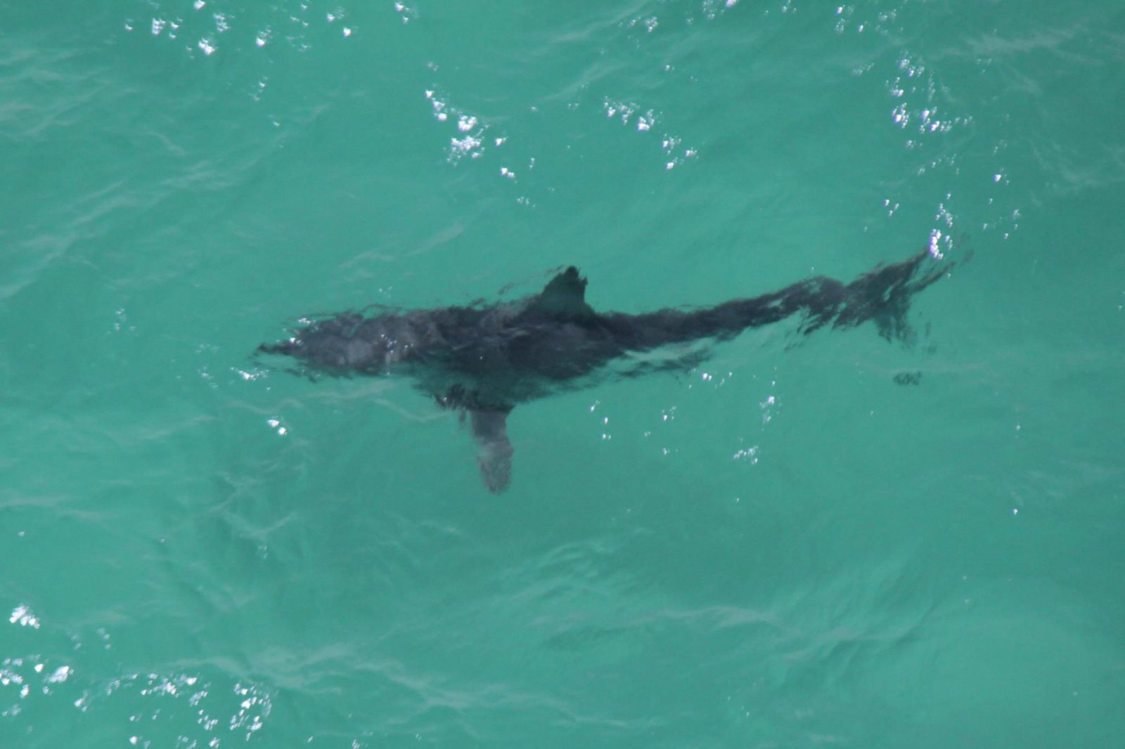10 Amazingly Fun Things to Do in Panama City Beach
