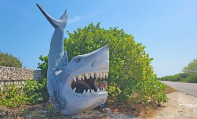 Progreso Beach, Attractions & Day Trips You Can't Miss!